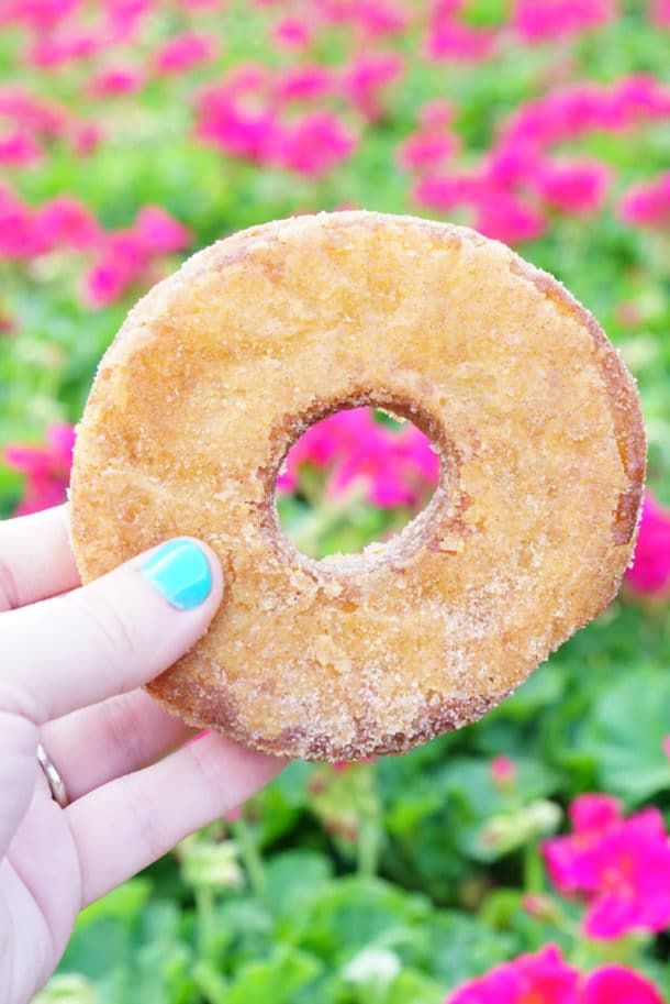 Best Disney World Food & Printable Disney Snacks List - Play Party Plan