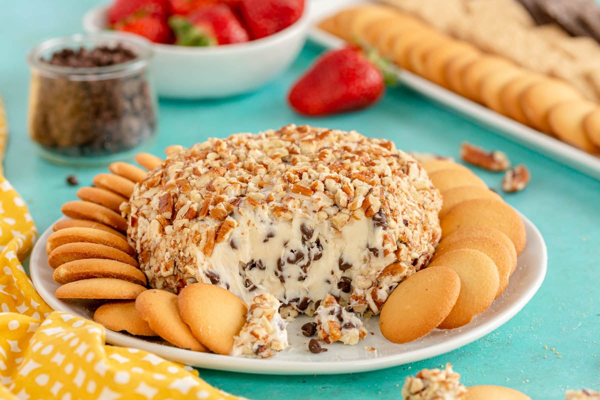 Chocolate Chip Cheese Ball Recipe - Play Party Plan