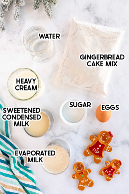 Gingerbread Tres Leches Cake - Play Party Plan