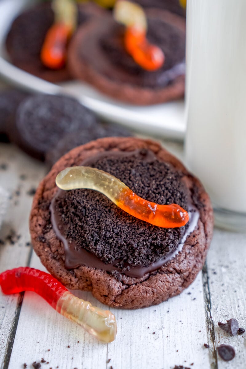 Easy Dirt Cookies (Dirt and Worms Cookies) - Play Party Plan