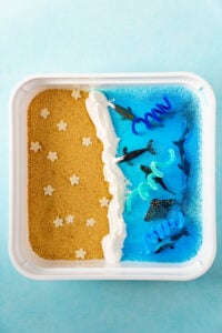 Easy DIY Ocean Sensory Bin for Kids - Play Party Plan