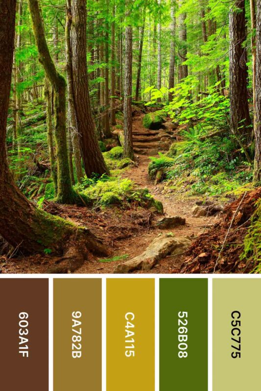 22 Perfect Fall Color Palettes for 2023 - Play Party Plan