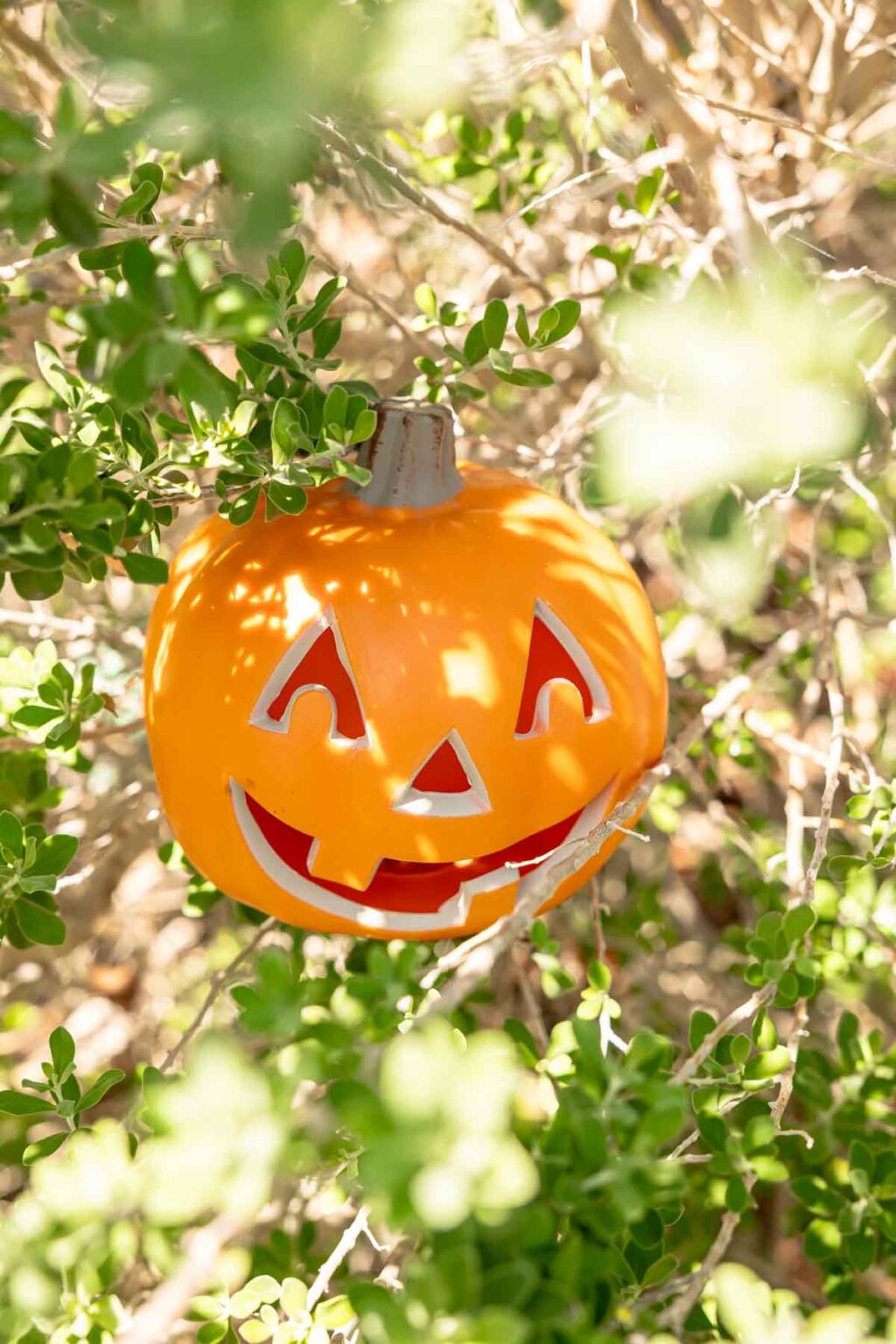Pumpkin Hunt Party Games - Play Party Plan