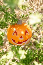 Pumpkin Hunt Party Games - Play Party Plan